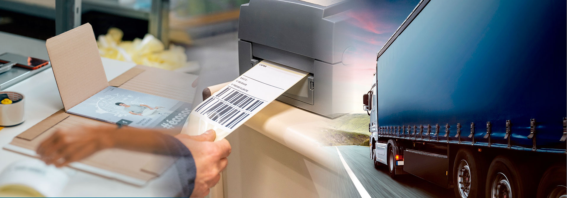 Multi Carrier Shipping Software Mecalux