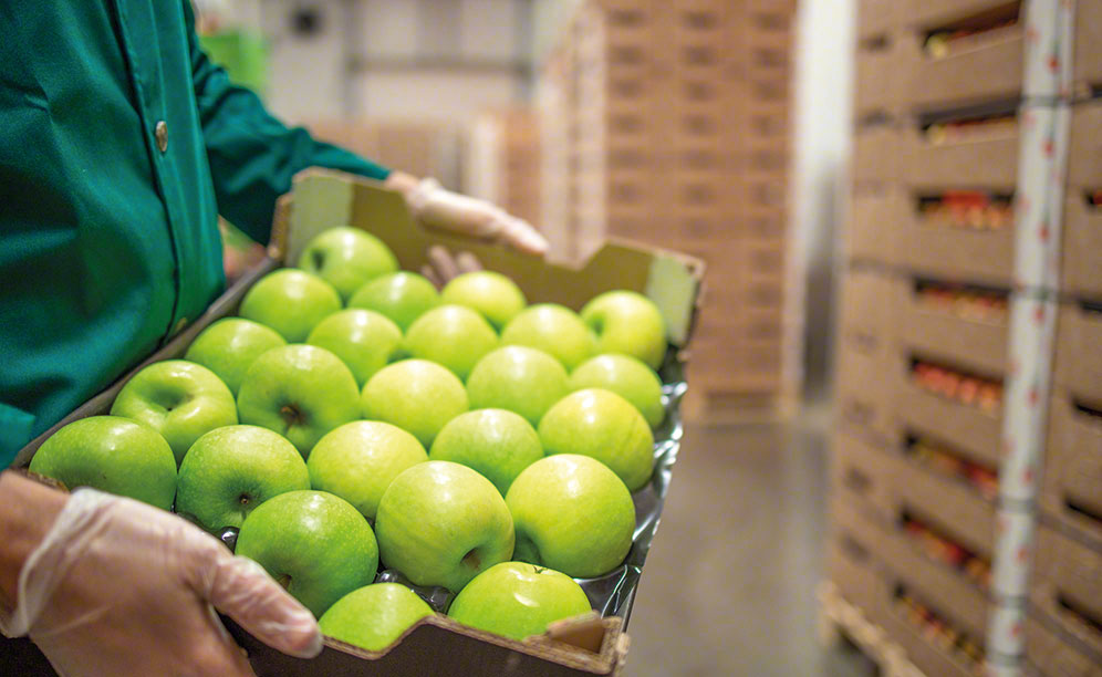 Megafin (3PL): digitalisation of a large facility - Mecalux.com