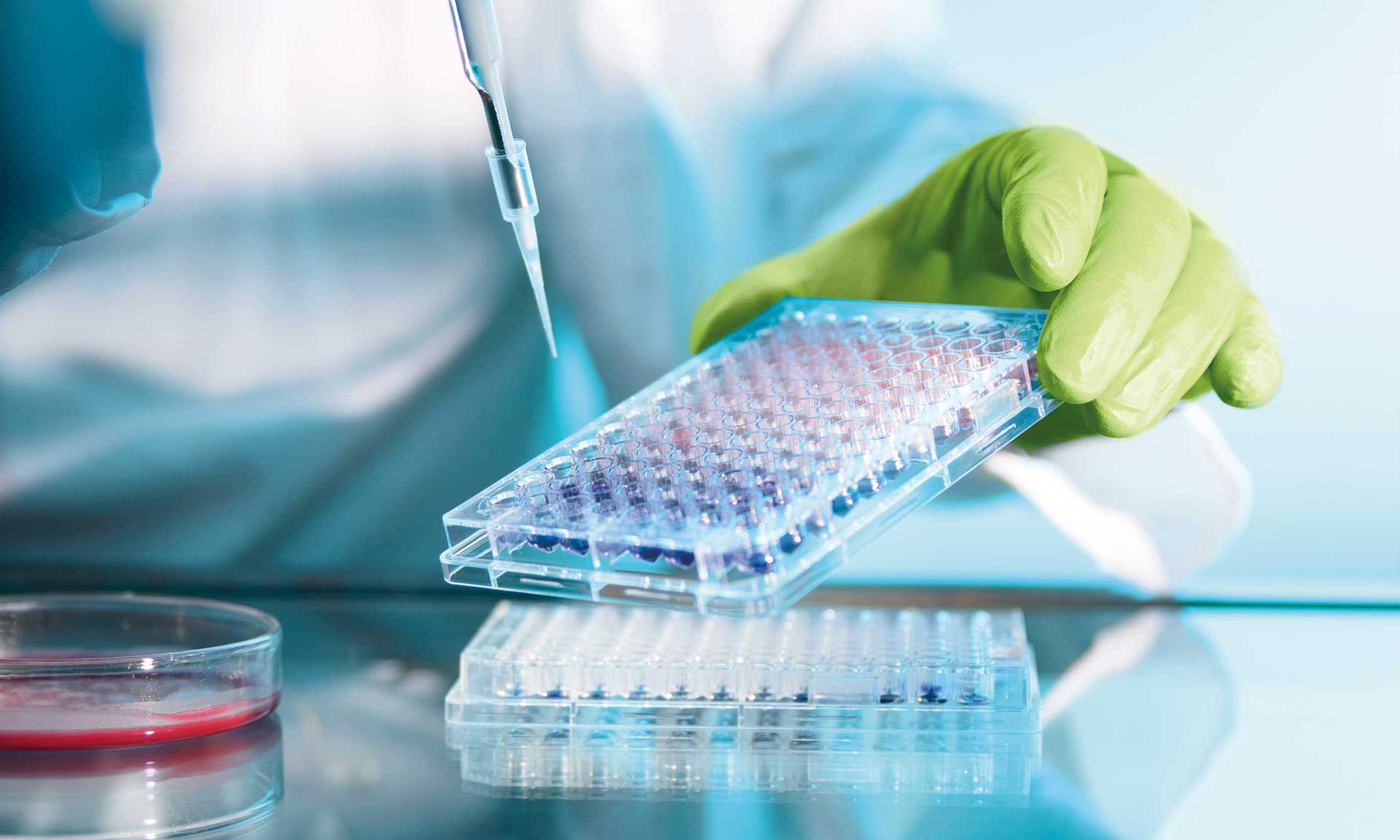 Biomedical company ELITechGroup deploys Easy WMS - Mecalux.com