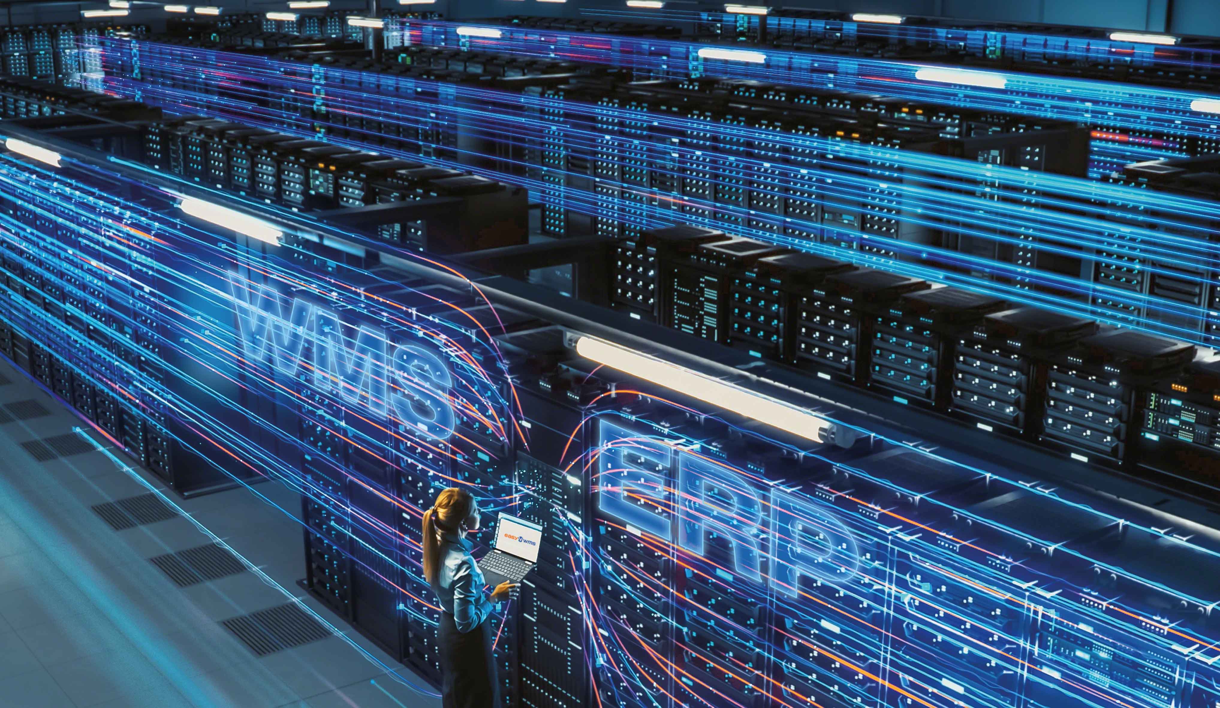 Data-driven analytics for a more efficient WMS - Mecalux.com